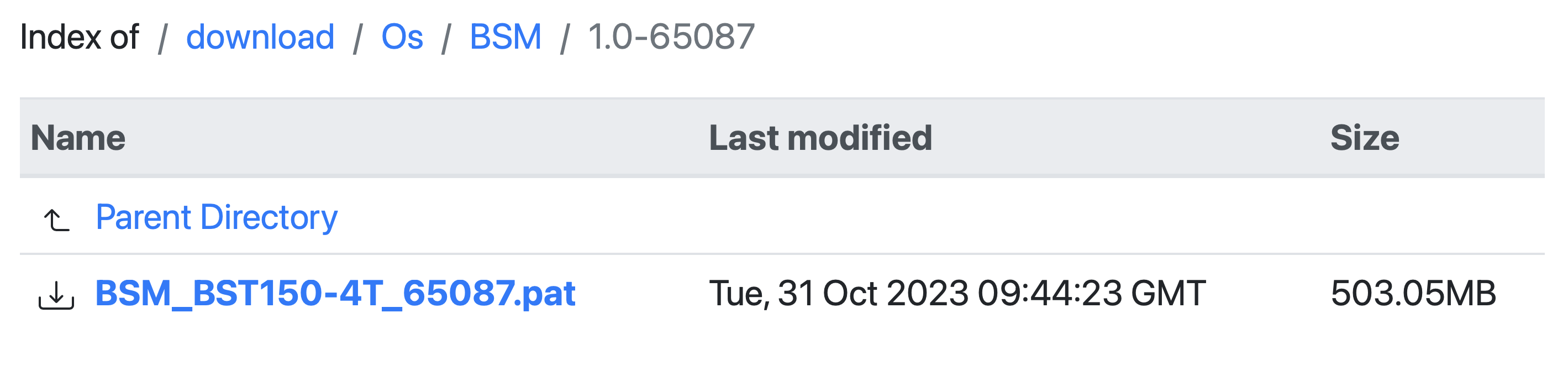 BSM 1.0 - New Synology OS is coming?
